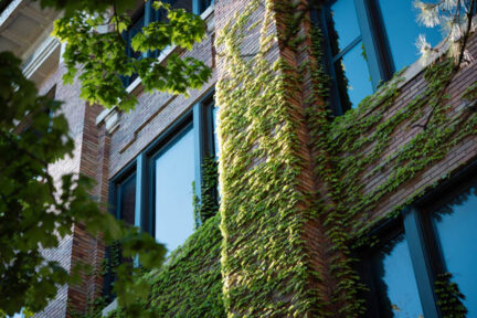Make A Gift | Mary A. Rackham Institute (MARI)