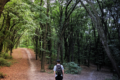Our Services | Mary A. Rackham Institute (MARI)