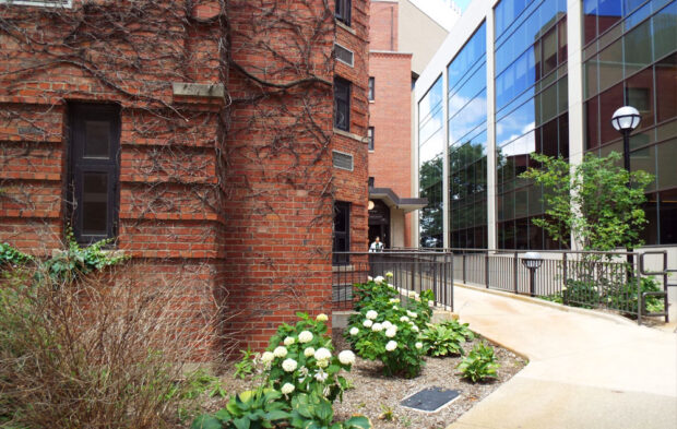 Our Clinics | Mary A. Rackham Institute (MARI)